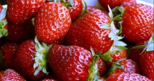 Acqua e Limone al Mattino: Benefici, Effetti e CONTROINDICAZIONI