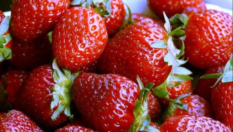 Fragole: proprietà, benefici, valori nutrizionali, uso e controindicazioni
