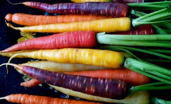 Carote: proprietà, benefici, usi, rimedi naturali e controindicazioni