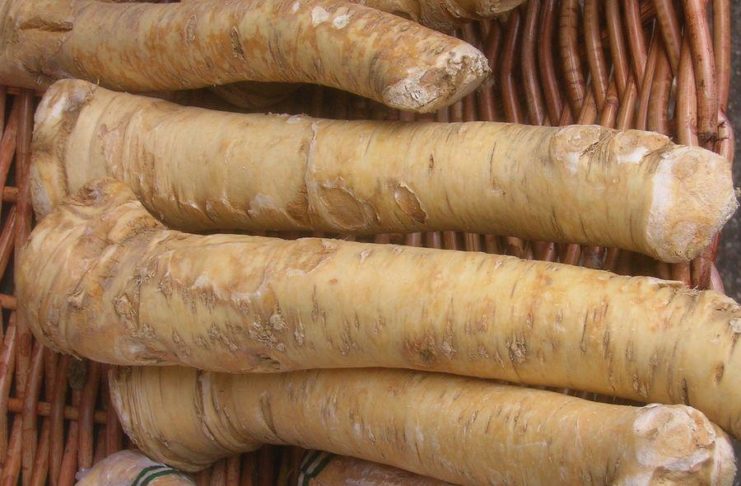 Rafano: proprietà, benefici per la salute, utilizzi e controindicazioni