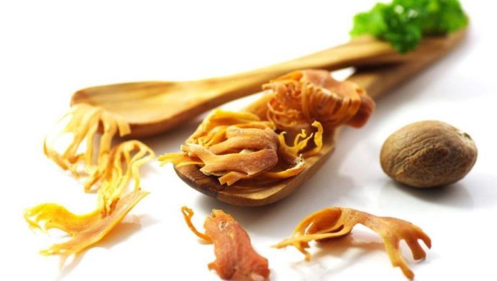 Macis: proprietà, benefici, utilizzo e controindicazioni