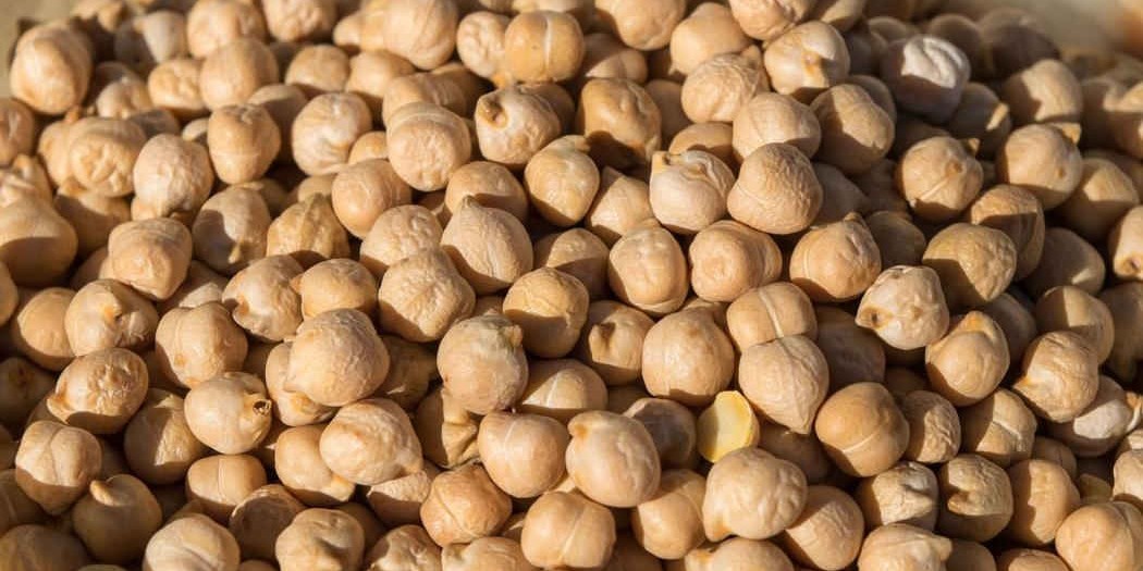 Ceci: proprietà, benefici, valori nutrizionali, calorie, utilizzi e ...