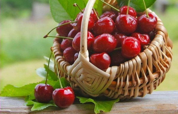 Ciliegie: proprietà, benefici, valori nutrizionali, calorie e ...