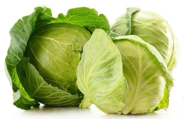 Verza: proprietà, benefici, valori nutrizionali, calorie, utilizzi e ...