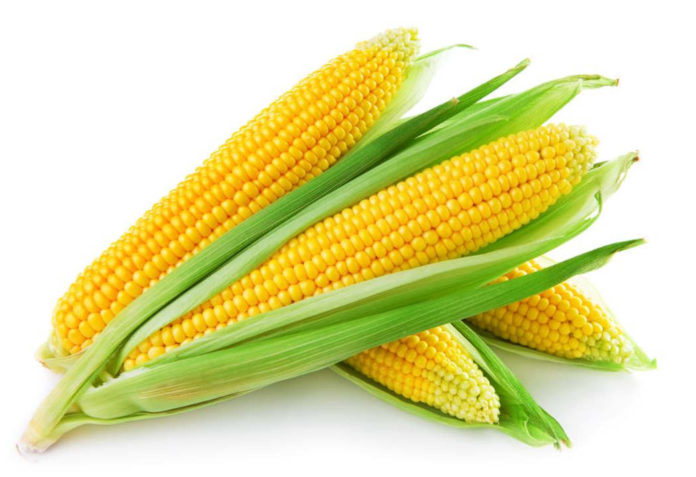 Mais: proprietà, benefici, valori nutrizionali, calorie, utilizzi e ...