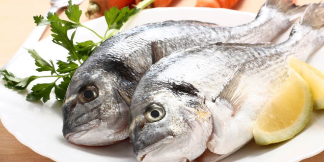 Come cucinare l'orata - Ricette con l'orata facili e veloci