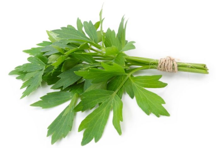 Levistico: proprietà, benefici, utilizzo, rimedi naturali e ...
