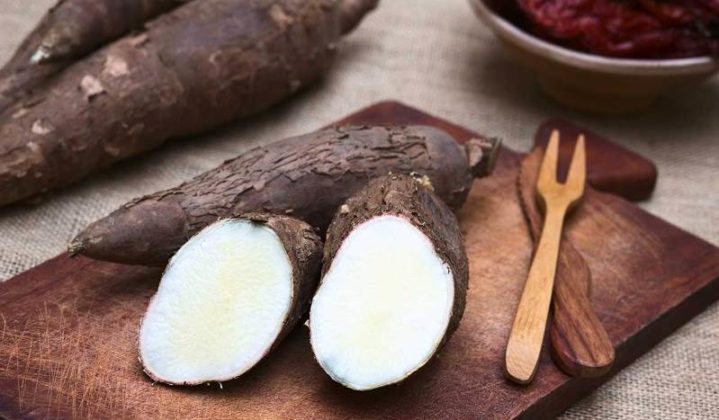 Manioca: proprietà, benefici, usi in cucina e controindicazioni