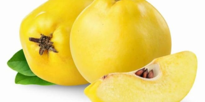 Mela cotogna: proprietà, benefici, uso, ricette e controindicazioni