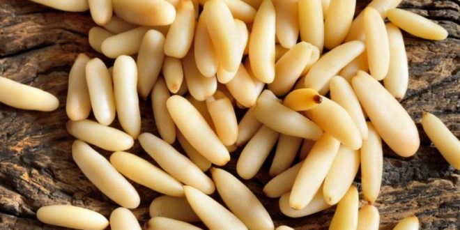 Pinoli: proprietà, benefici, uso, valori nutrizionali e controindicazioni