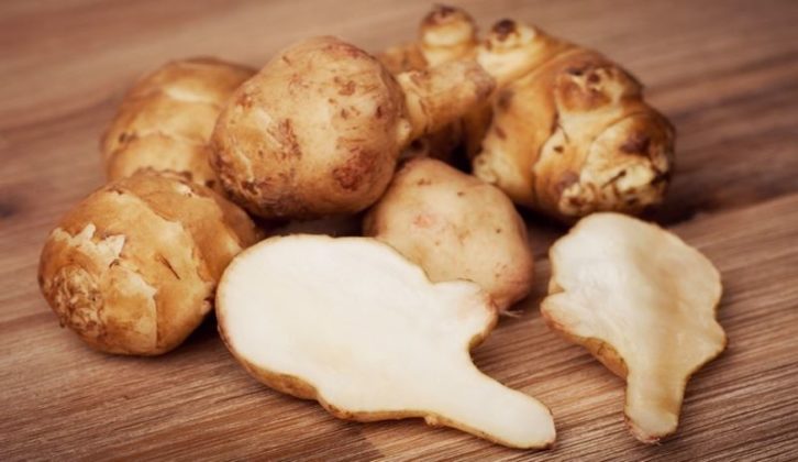 Topinambur ricette facili e veloci: tante idee sfiziose da portare in ...